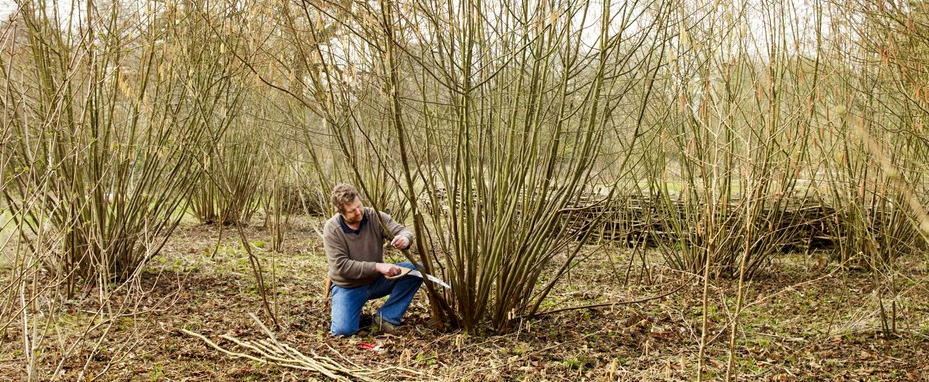 The Breitspurbahn: Adolf Hitler’s Train of Dreams: Part 1 – 3 – Truth ...